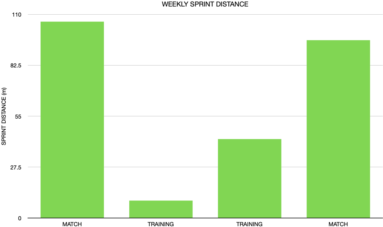 What are the Sprint Metrics?