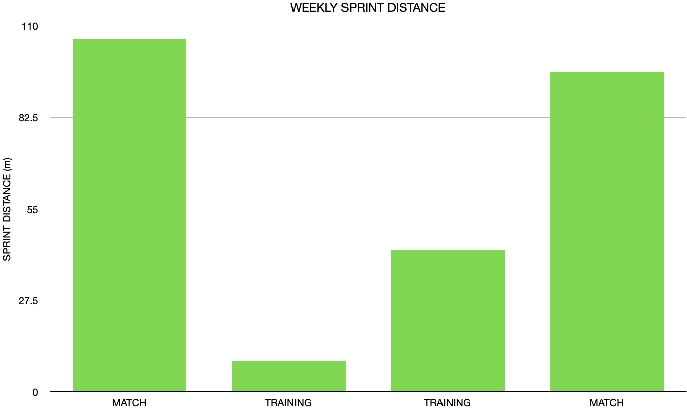 What are the Sprint Metrics?